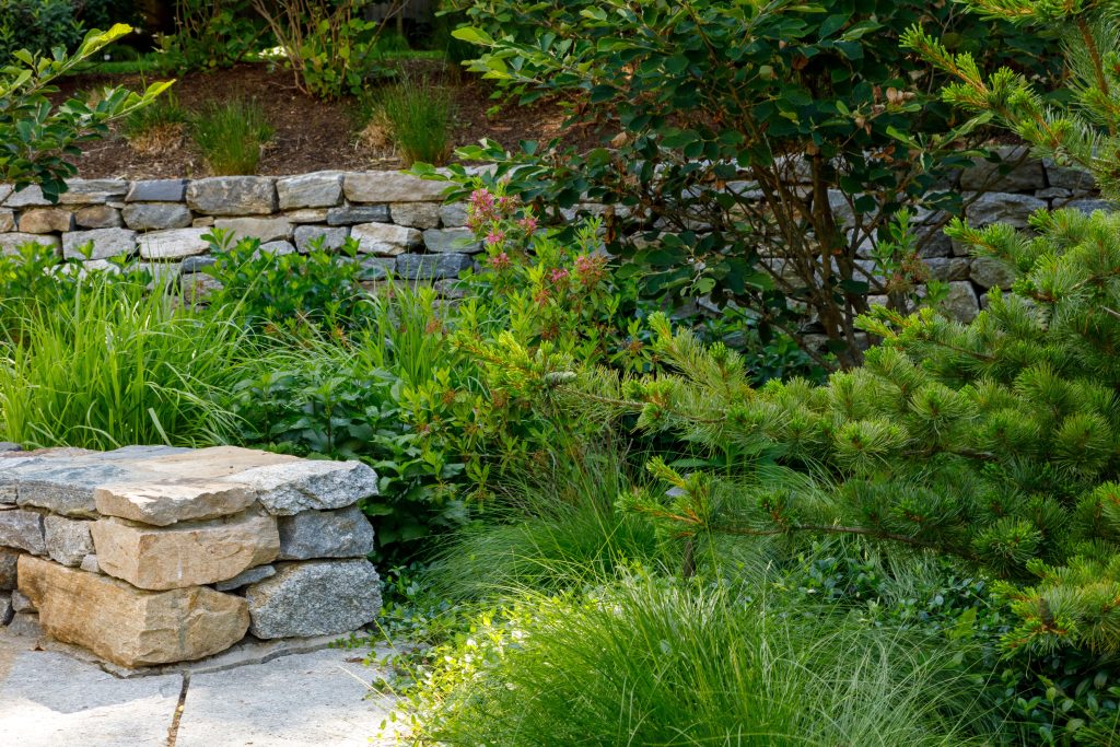A Yard & A Half - Design, Build, and Maintain Outdoor Spaces